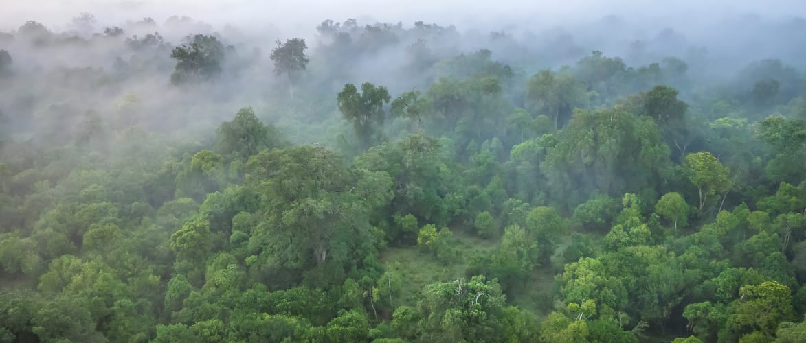 Literatur für eine friedliche Welt | Von Paul Soldan