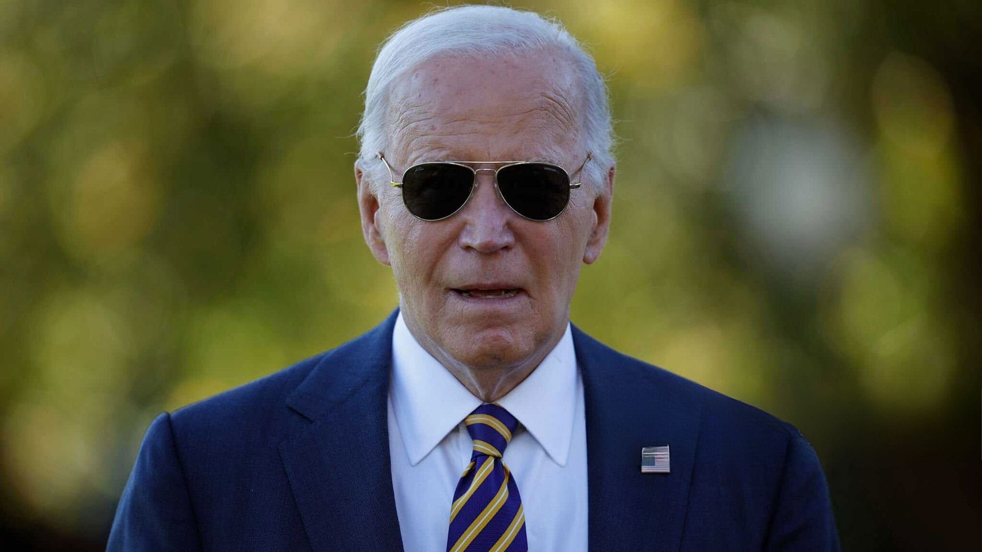 Stilvolle Ausbildung Von Joe Biden Ebenbildnull